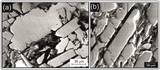 The Domain and Microstructure of Resin-Bonded Magnets