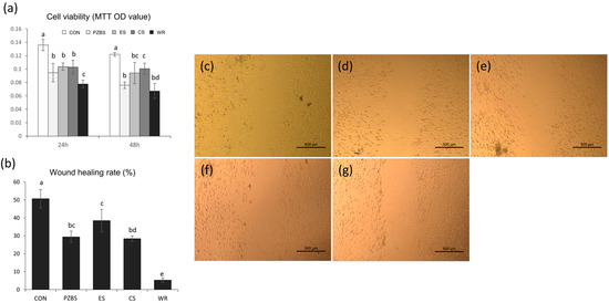 Characterization, Antimicrobial Effects, and Cytocompatibility of a ...
