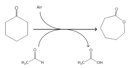 Recent Developments in Lactone Monomers and Polymer Synthesis and ...