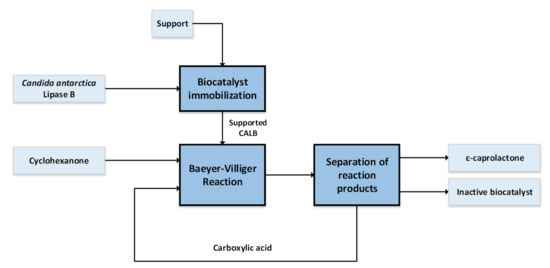 Recent Developments in Lactone Monomers and Polymer Synthesis and ...