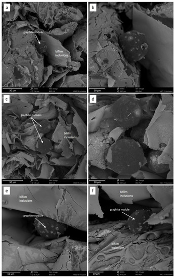 Bifilm Inclusions in High Alloyed Cast Iron