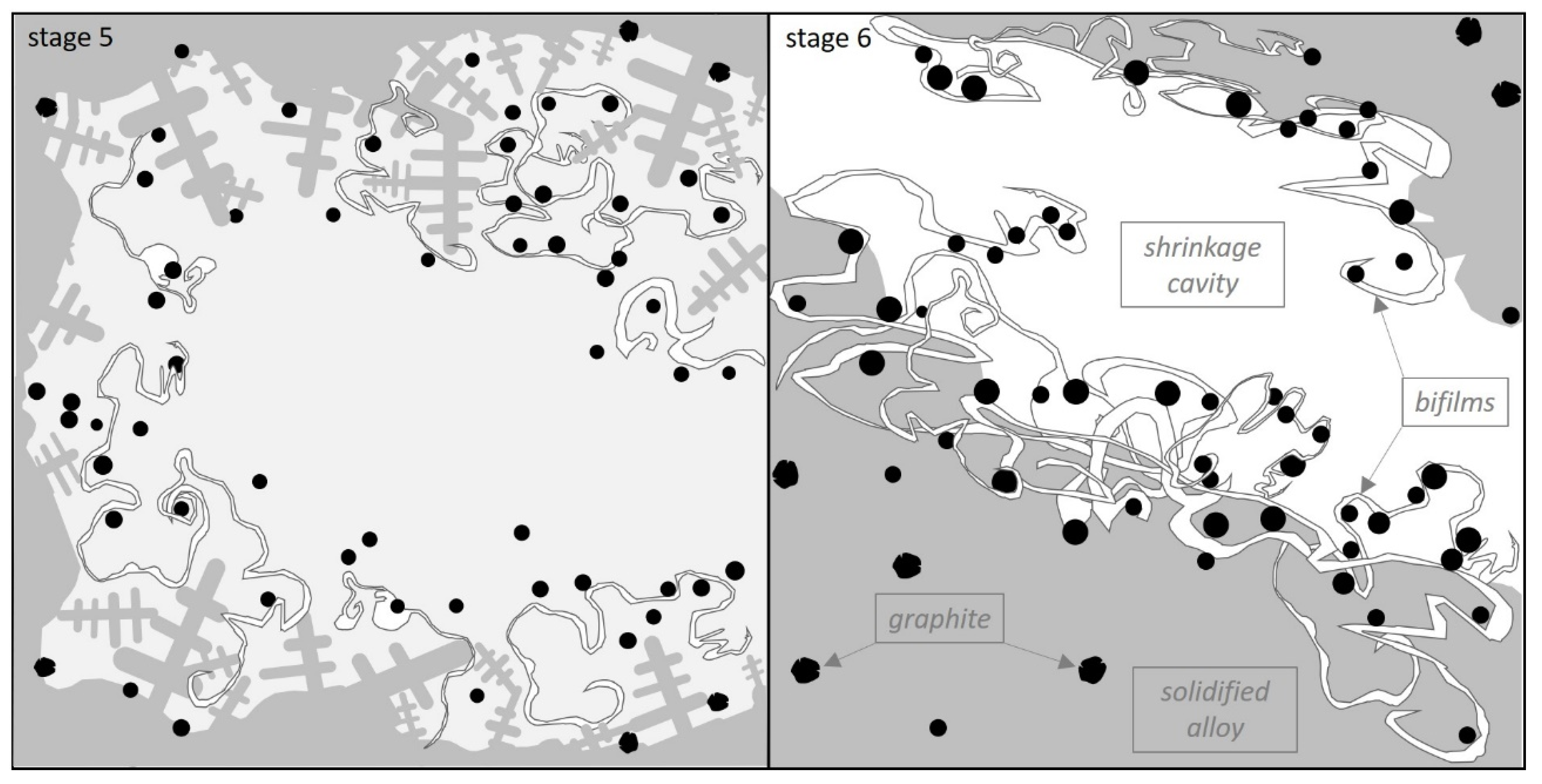 Bifilm Inclusions in High Alloyed Cast Iron