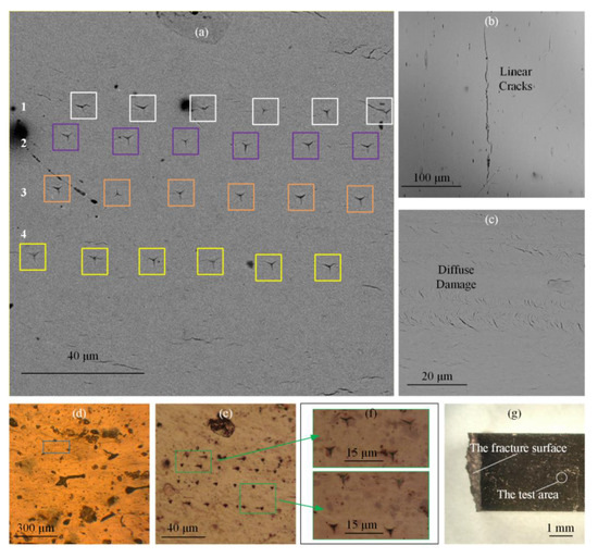 Effects of Fatigue Damage on the Microscopic Modulus of Cortical Bone ...