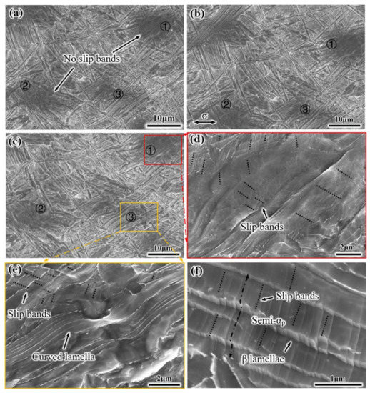Deformation Behavior and Tensile Properties of the Semi-Equiaxed ...