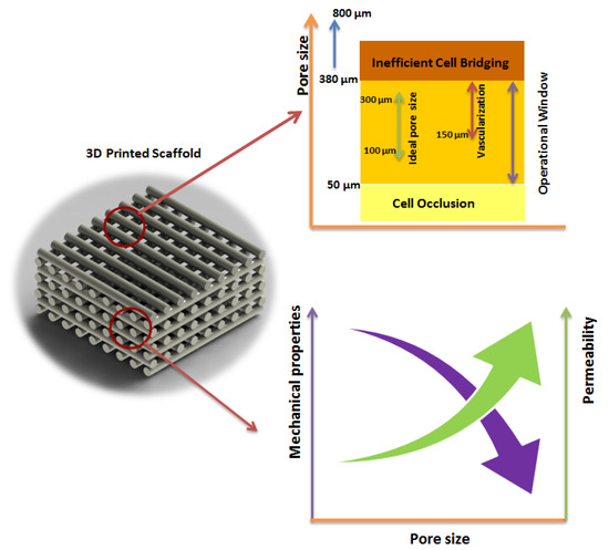 Experimental and Numerical Simulations of 3D-Printed Polycaprolactone ...