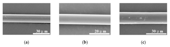 Dynamic Mechanical Properties of Several High-Performance Single Fibers