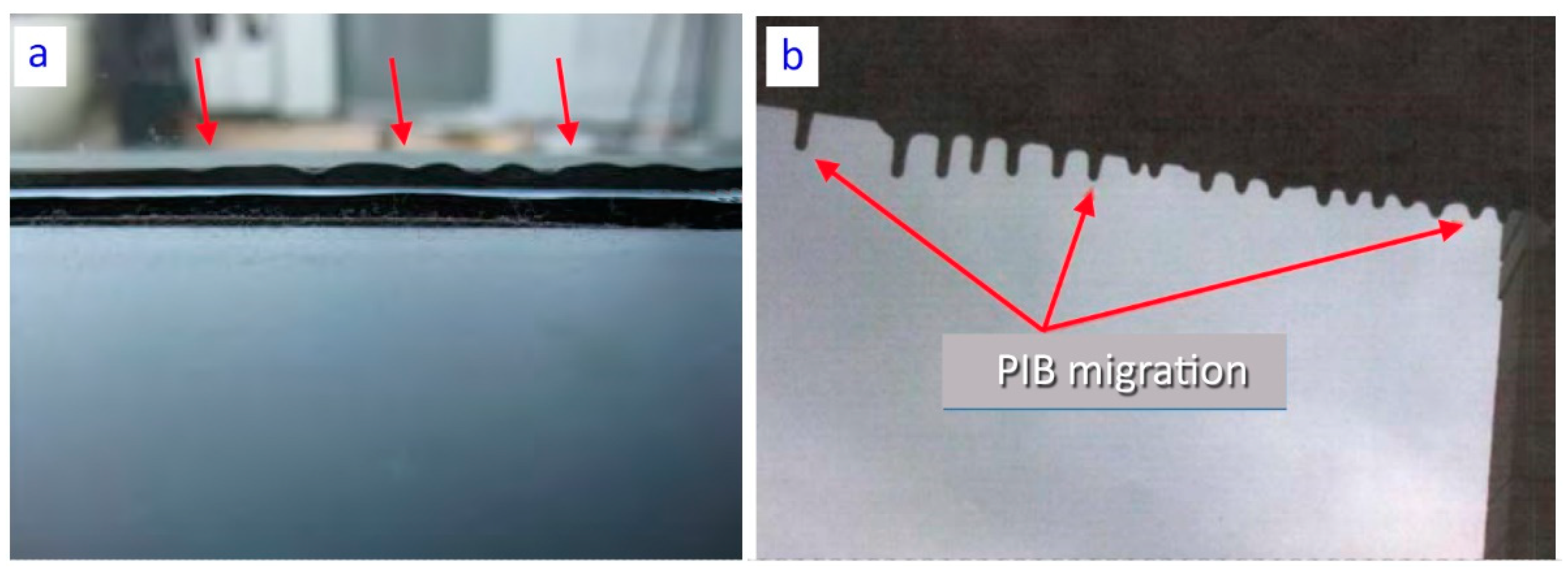Polyisobutylene and Silicone in Warm Edge Glazing Systems—Evaluation of ...