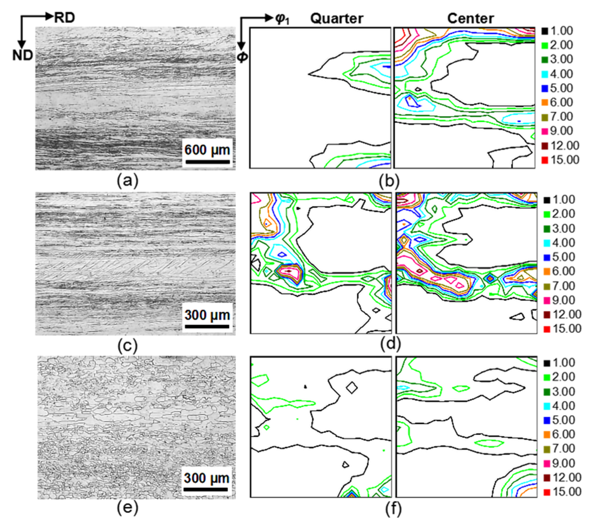 Rapid Secondary Recrystallization of the Goss Texture in Fe81Ga19 ...