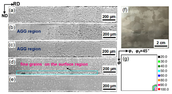 Rapid Secondary Recrystallization of the Goss Texture in Fe81Ga19 ...