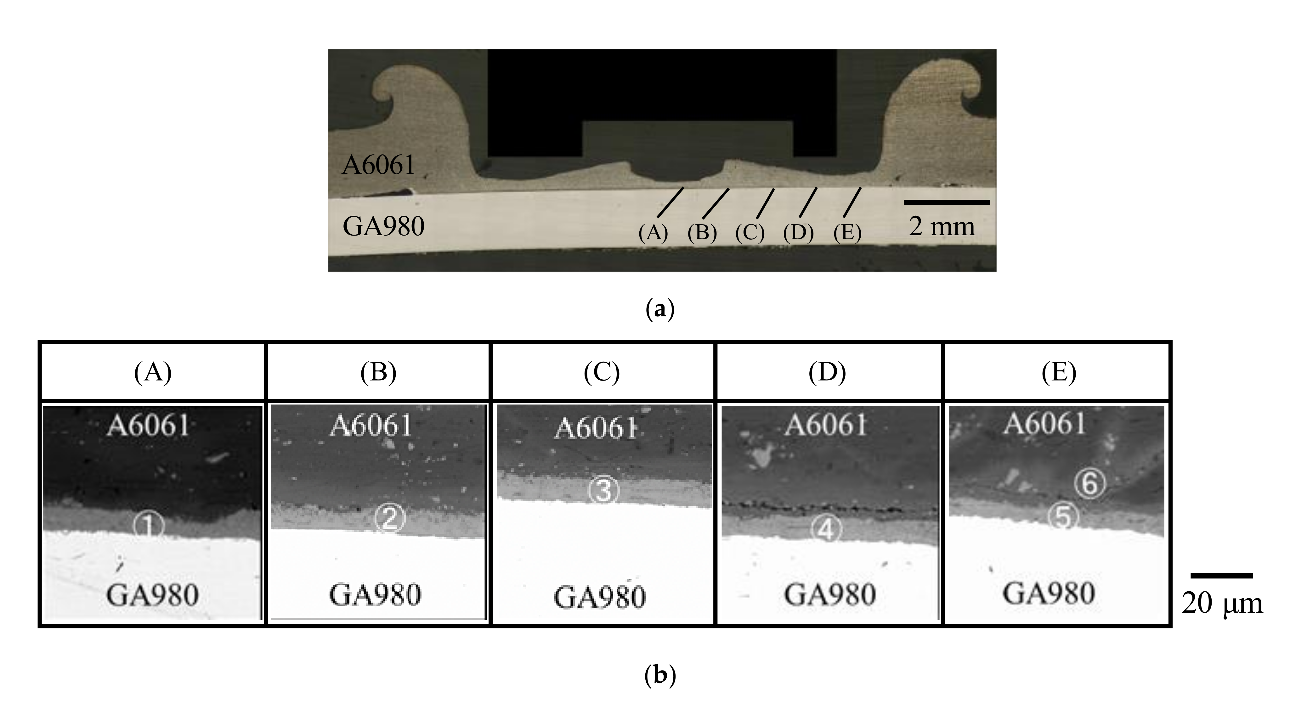 Microstructure and Fatigue Behaviors of Dissimilar A6061/Galvannealed ...