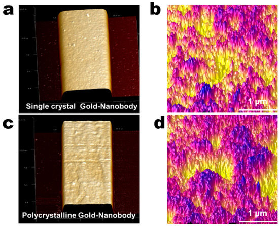 An Innovative Nanobody-Based High-Biocompatibility Gold Interdigitated ...