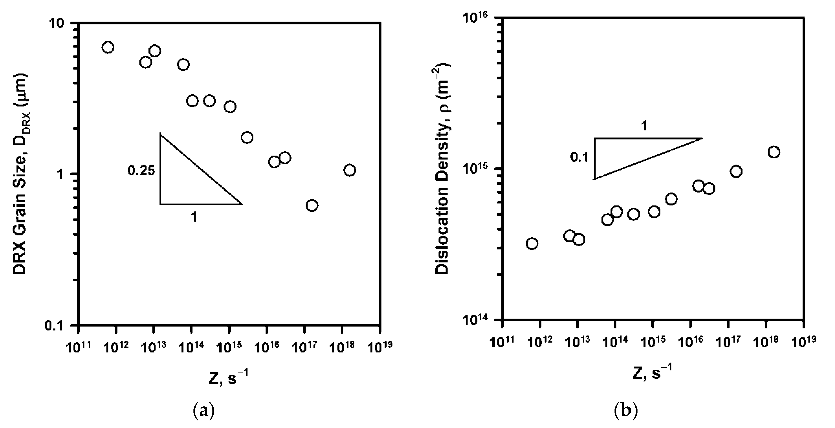 Peculiarities of DRX in a Highly-Alloyed Austenitic Stainless Steel
