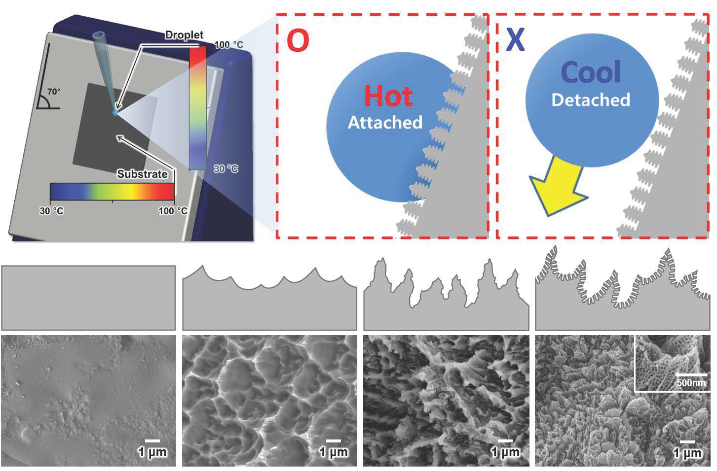 Materials | Free Full-Text | Effect of Surface Structure Complexity on ... Materials | Free Full-Text | Effect of Surface Structure Complexity on ...