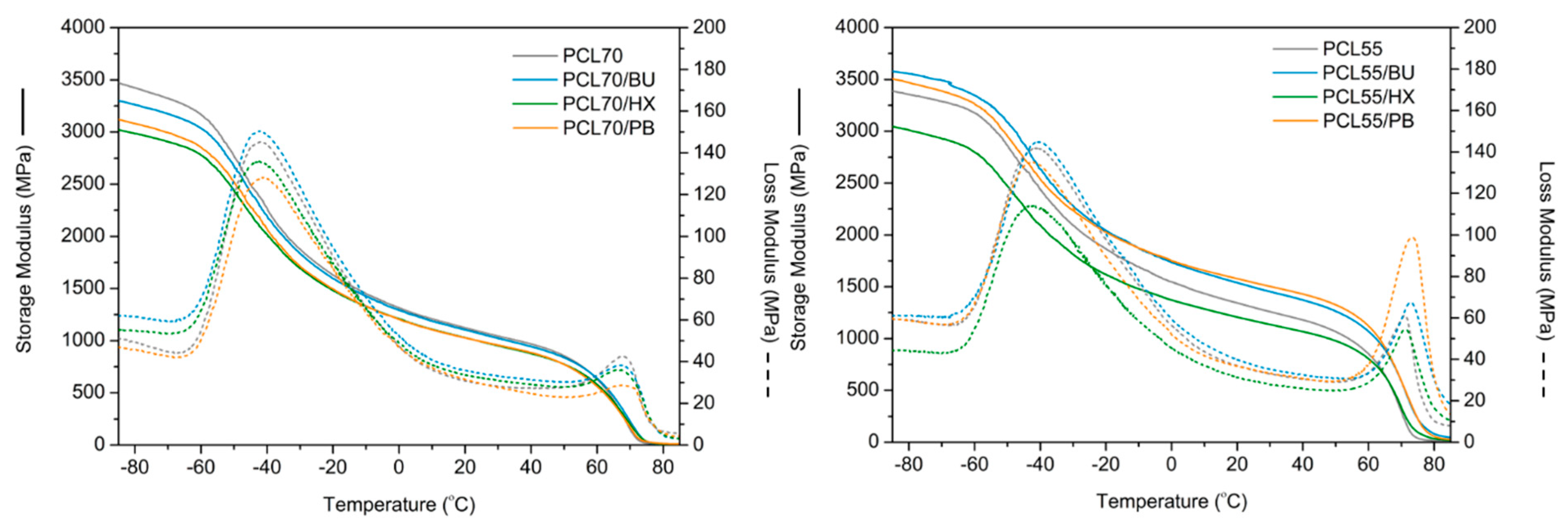 Morphology, Thermo-Mechanical Properties and Biodegradibility of PCL ...