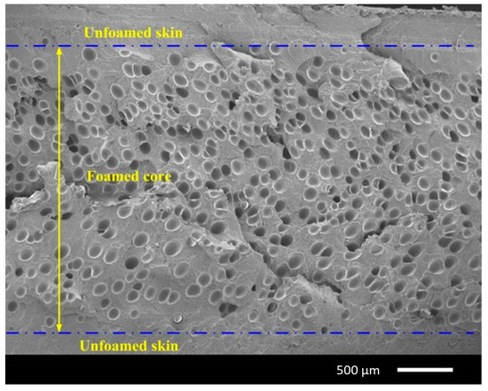 A Review on Microcellular Injection Moulding