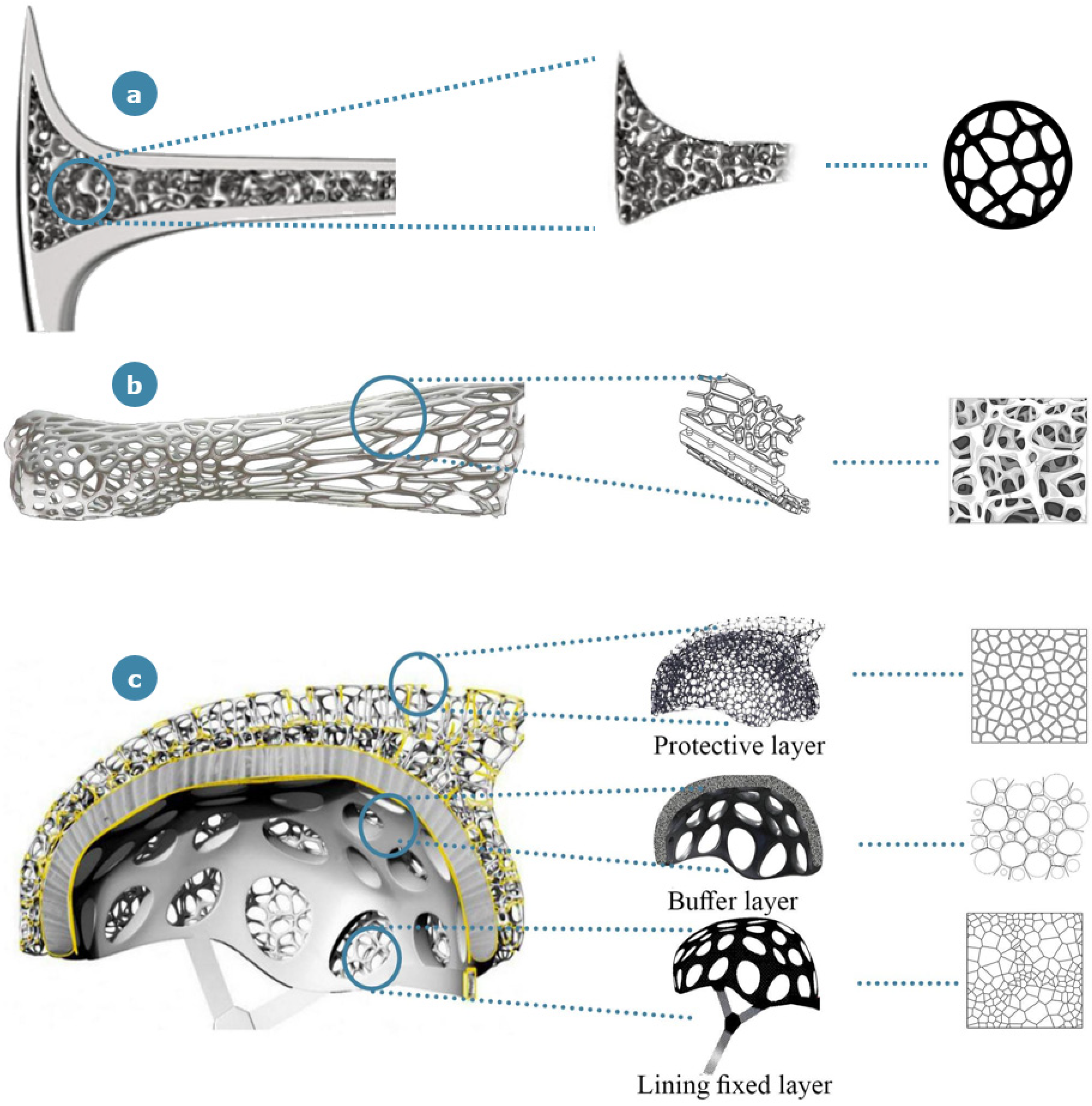 Down to the Bone: A Novel Bio-Inspired Design Concept
