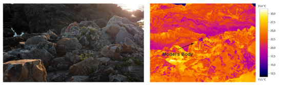 Textile Pattern Design in Thermal Vision—A Study on Human Body Camouflage