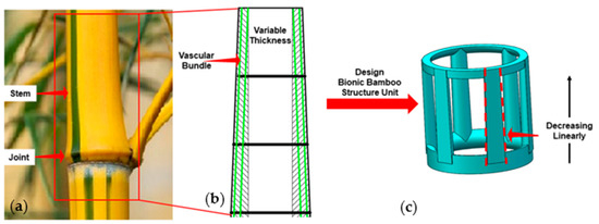 Compressive Properties of Functionally Graded Bionic Bamboo Lattice Structures Fabricated by FDM