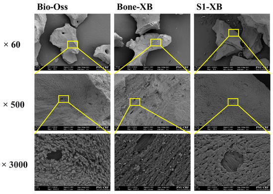 Materials | Special Issue : Advances in Bone Graft Materials