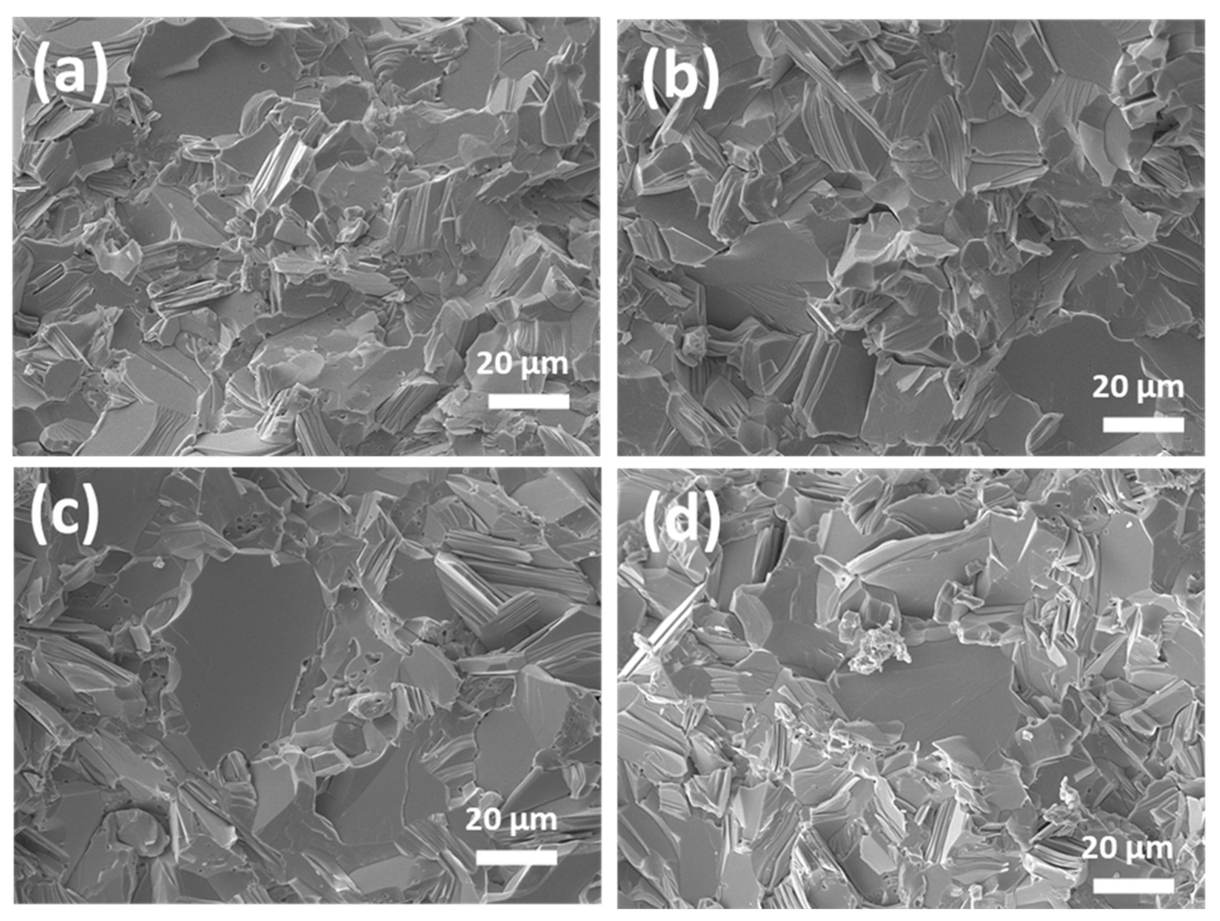 Development of High-Performance Thermoelectric Materials by ...