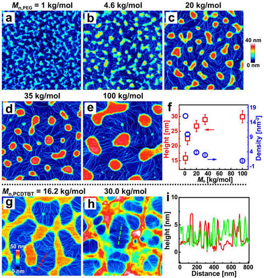 Fabrication of PCDTBT Conductive Network via Phase Separation