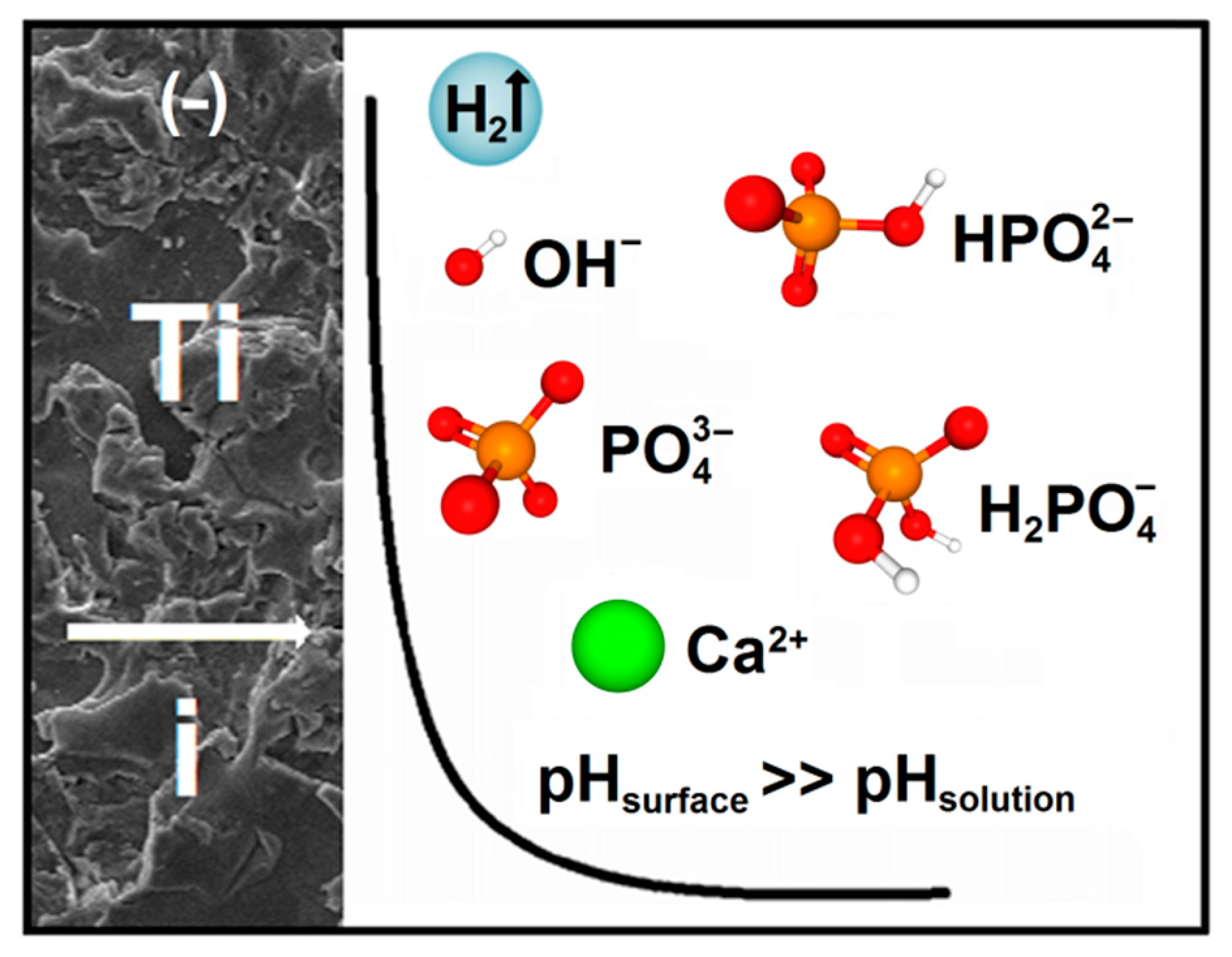 Effect of Temperature on Electrochemically Assisted Deposition and ...