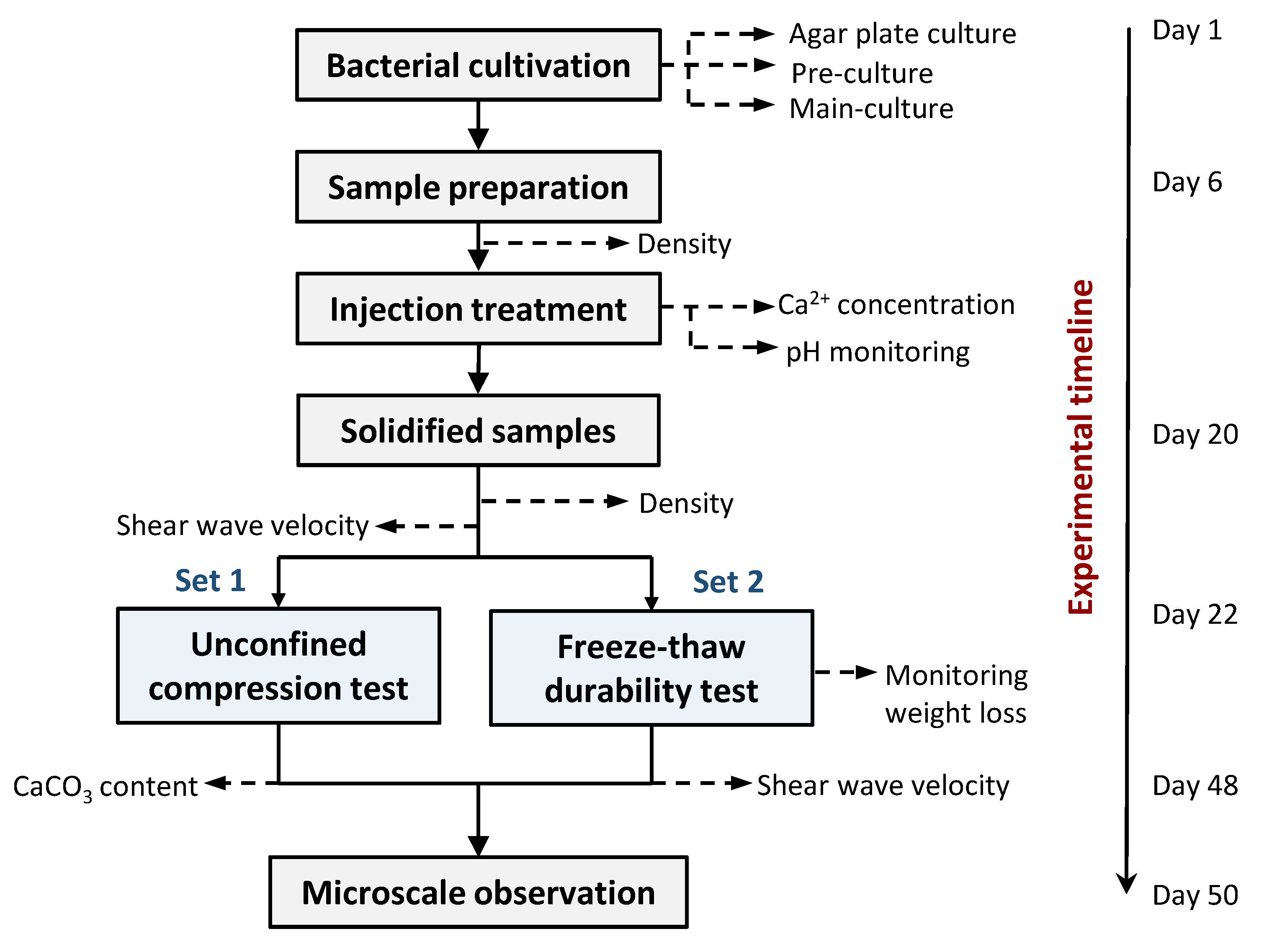 Experimental Study on Sand Stabilization Using Bio-Cementation with ...