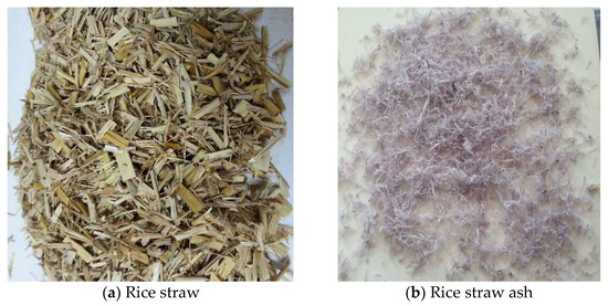 Bioactivity and Biocompatibility Properties of Sustainable Wollastonite ...