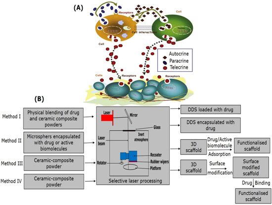 Bioactive Ceramic Scaffolds for Bone Tissue Engineering by Powder Bed ...