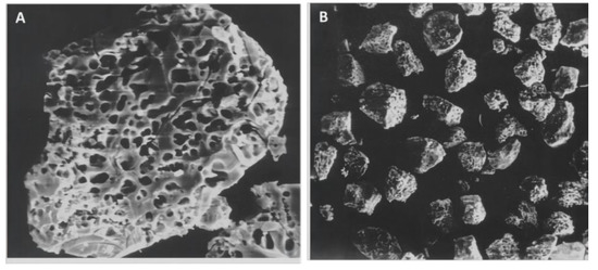 The Development of Filler Morphology in Dental Resin Composites: A Review
