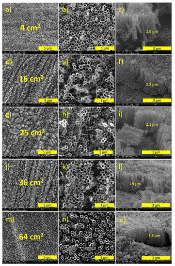 Scaling Up the Process of Titanium Dioxide Nanotube Synthesis and Its ...