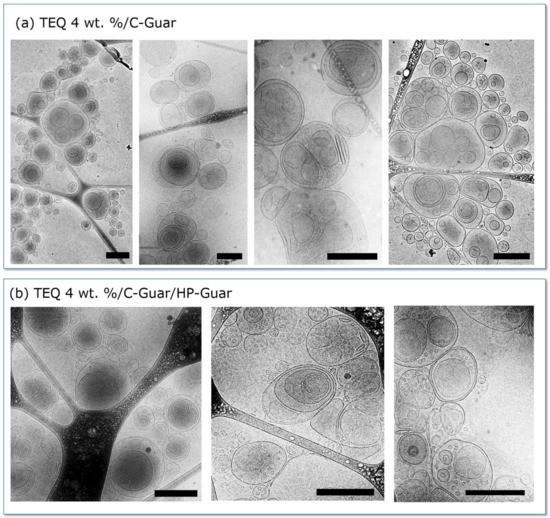 Advanced Eco-Friendly Formulations of Guar Biopolymer-Based Textile ...