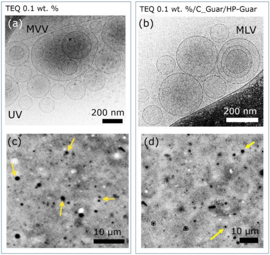 Advanced Eco-Friendly Formulations of Guar Biopolymer-Based Textile ...