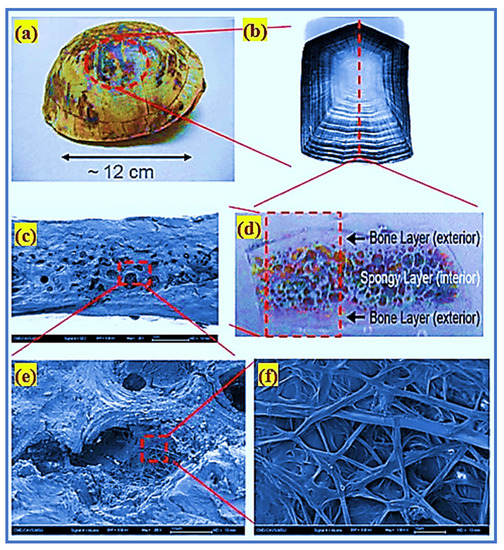 Modified Falling Mass Impact Test Performance on Functionally Graded ...