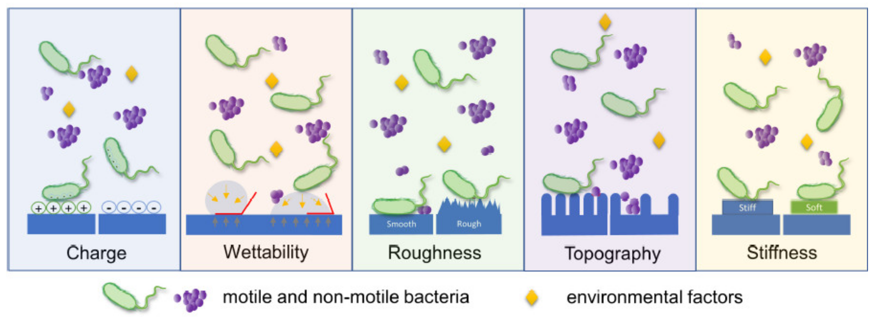 Infections @ Trauma/Orthopedic Implants: Recent Advances on Materials ...
