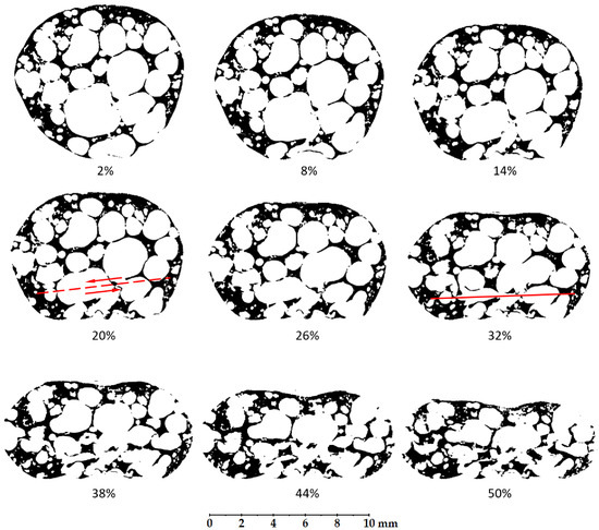 Materials | Special Issue : 4D X-ray Computed Tomography for Material ...