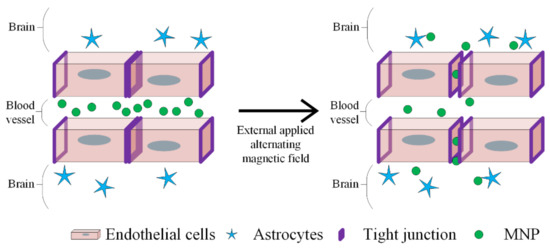 Materials | Free Full-Text | Magnetic Nanoparticles Used in Oncology