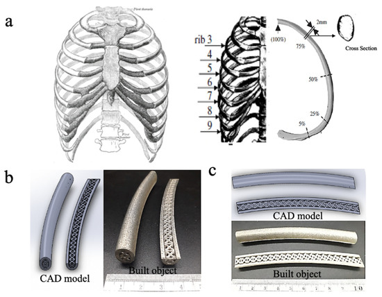 Selective Laser Melting of Stainless Steel 316L with Face-Centered ...