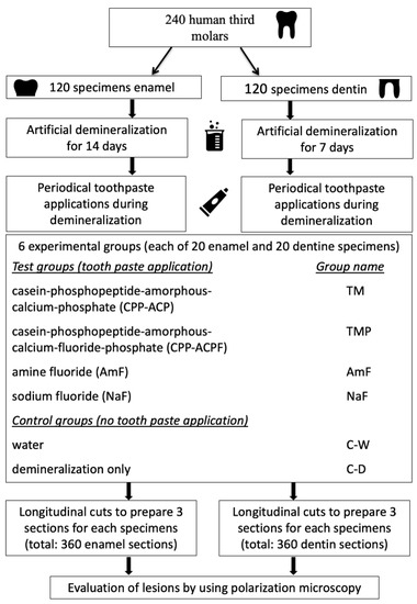 Materials Free Full Text Effectiveness Of Casein Phosphopeptide