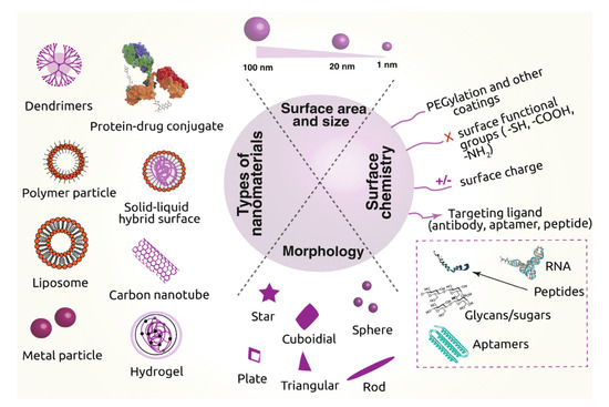 Biomedical Applications of Carbon Nanomaterials: Fullerenes, Quantum Dots, Nanotubes, Nanofibers ...