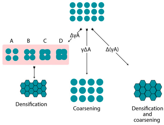 Advances in Sintering Techniques for Calcium Phosphates Ceramics