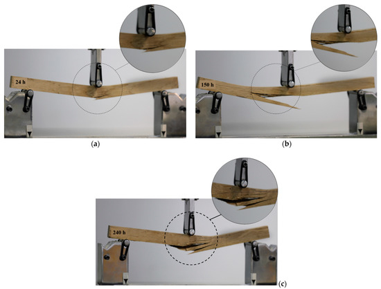 Prediction of Mechanical Properties of Artificially Weathered Wood by ...