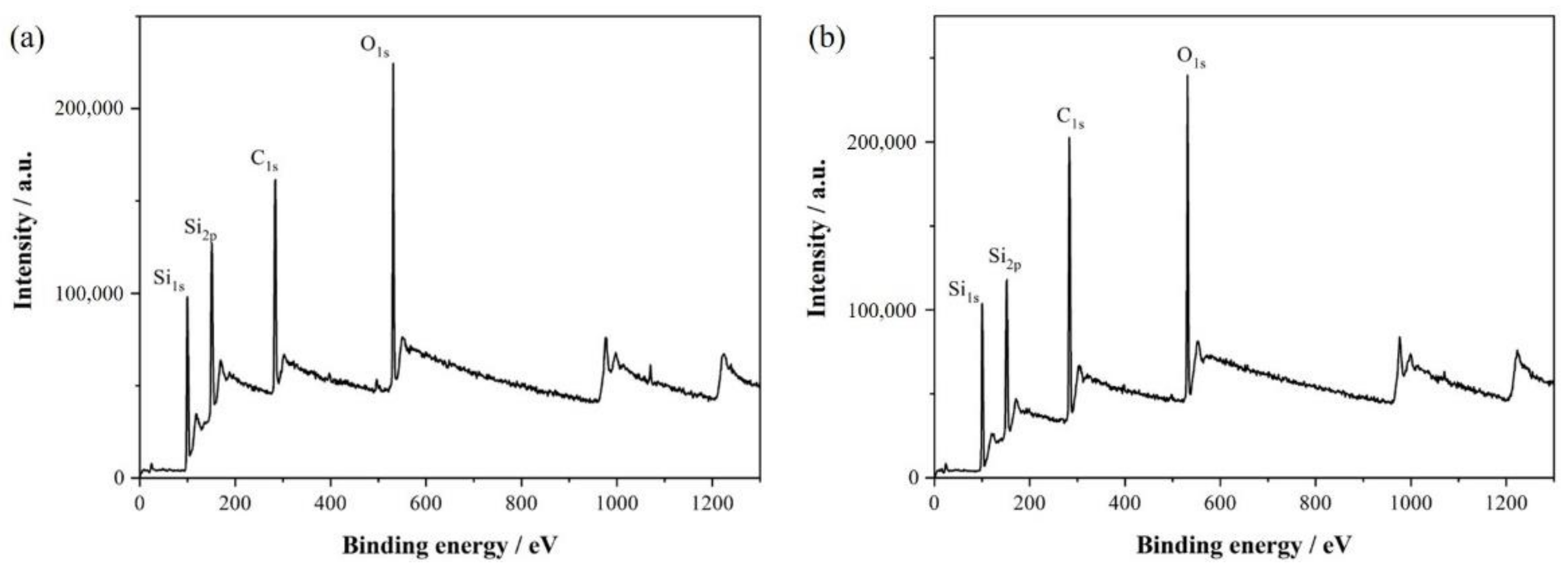 Preparation and Characterization of Pure SiC Ceramics by HTPVT Induced ...