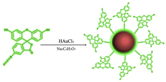 Biointeraction of Erythrocyte Ghost Membranes with Gold Nanoparticles ...