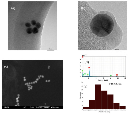 Biointeraction of Erythrocyte Ghost Membranes with Gold Nanoparticles ...