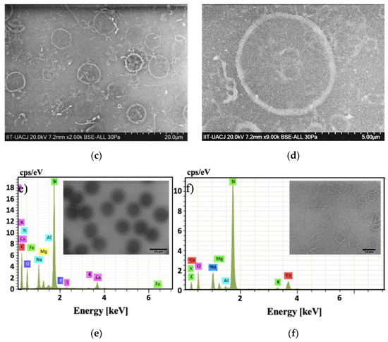 Biointeraction of Erythrocyte Ghost Membranes with Gold Nanoparticles ...