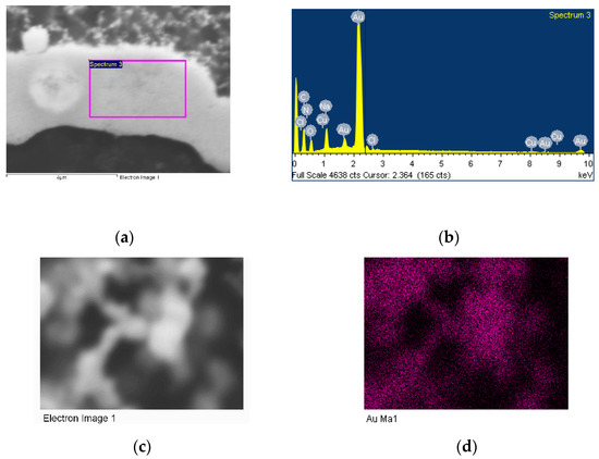 Biointeraction of Erythrocyte Ghost Membranes with Gold Nanoparticles ...