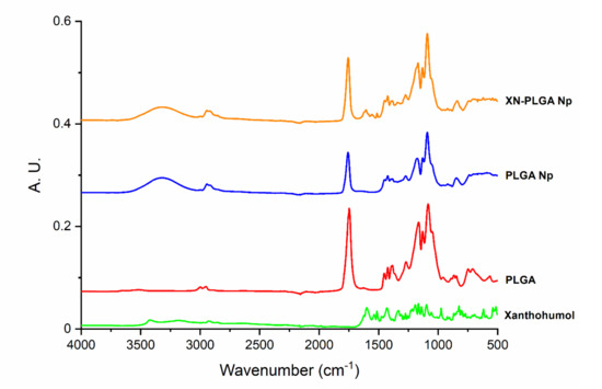 Evaluation of the Antitumour and Antiproliferative Effect of ...