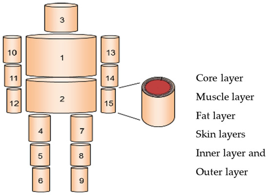 Modeling and Simulation of Human Body Heat Transfer System Based on Air ...