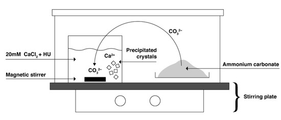 Entrapment of a Cytotoxic Drug into the Crystal Structure of Calcite ...